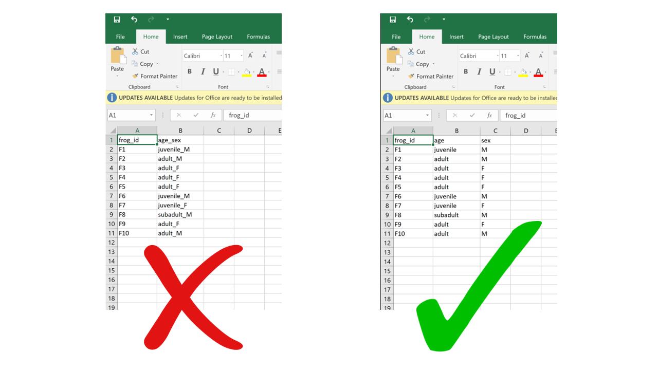 Chapter 4 Best Practices In The Use Of Spreadsheets Reproducible Data